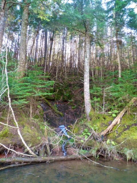 Contact Us – Central Queens Branch of the PEI Wildlife Federation