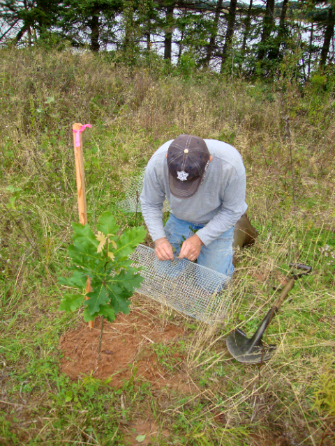 Watershed Plan – Central Queens Branch of the PEI Wildlife Federation
