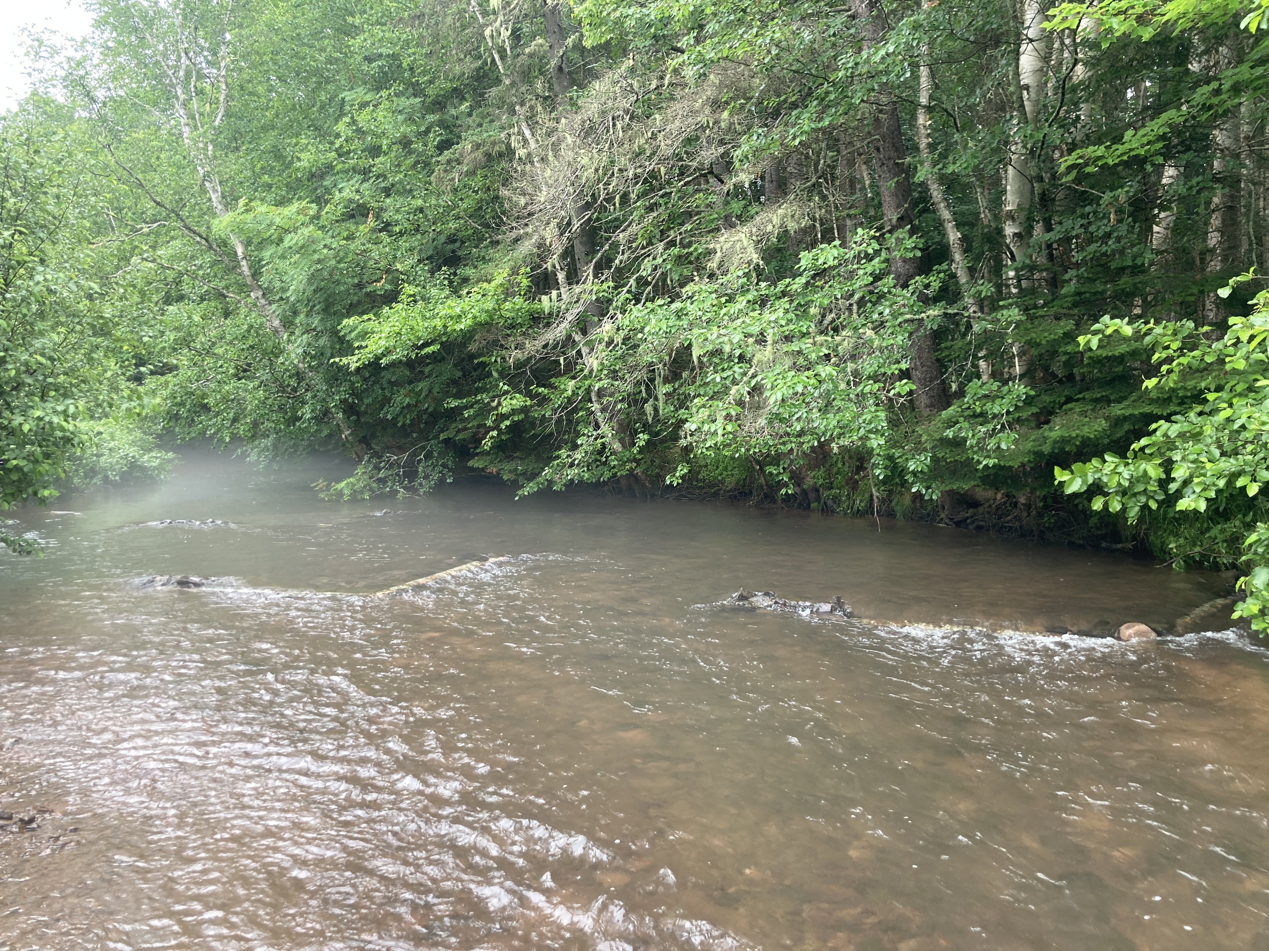 2021 Season – Central Queens Branch of the PEI Wildlife Federation