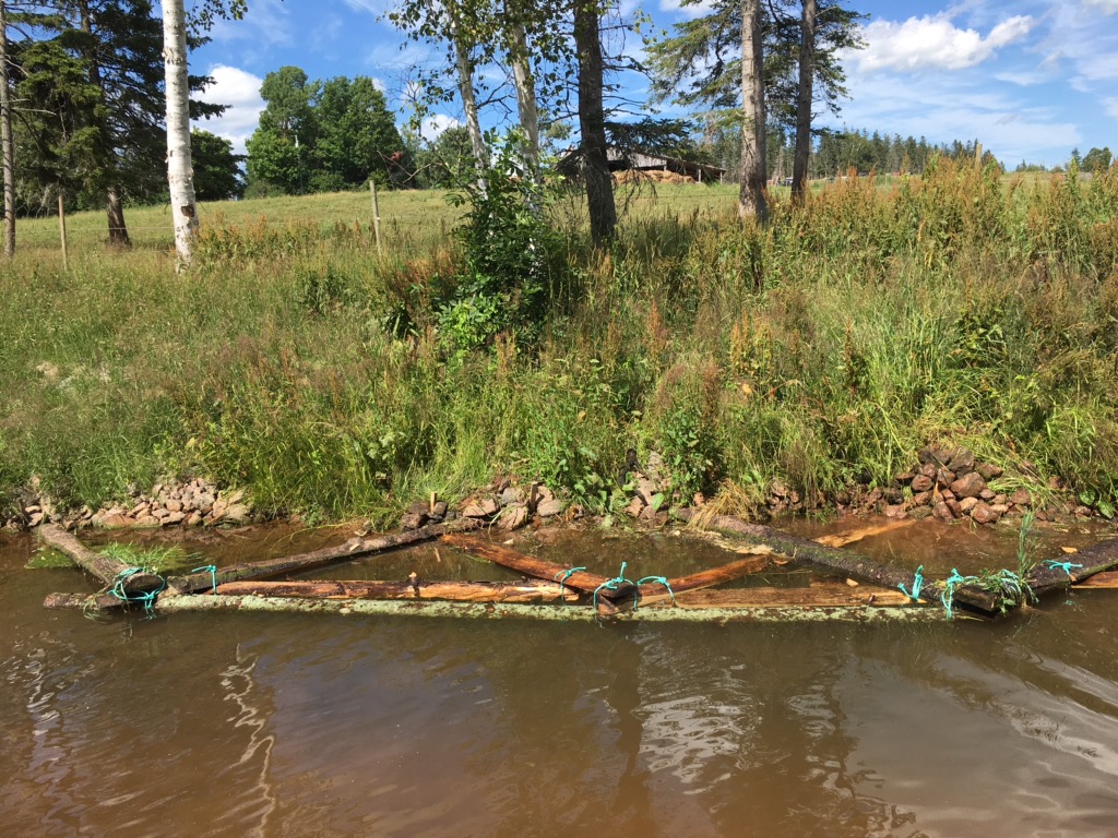 Management Plan – Central Queens Branch of the PEI Wildlife Federation