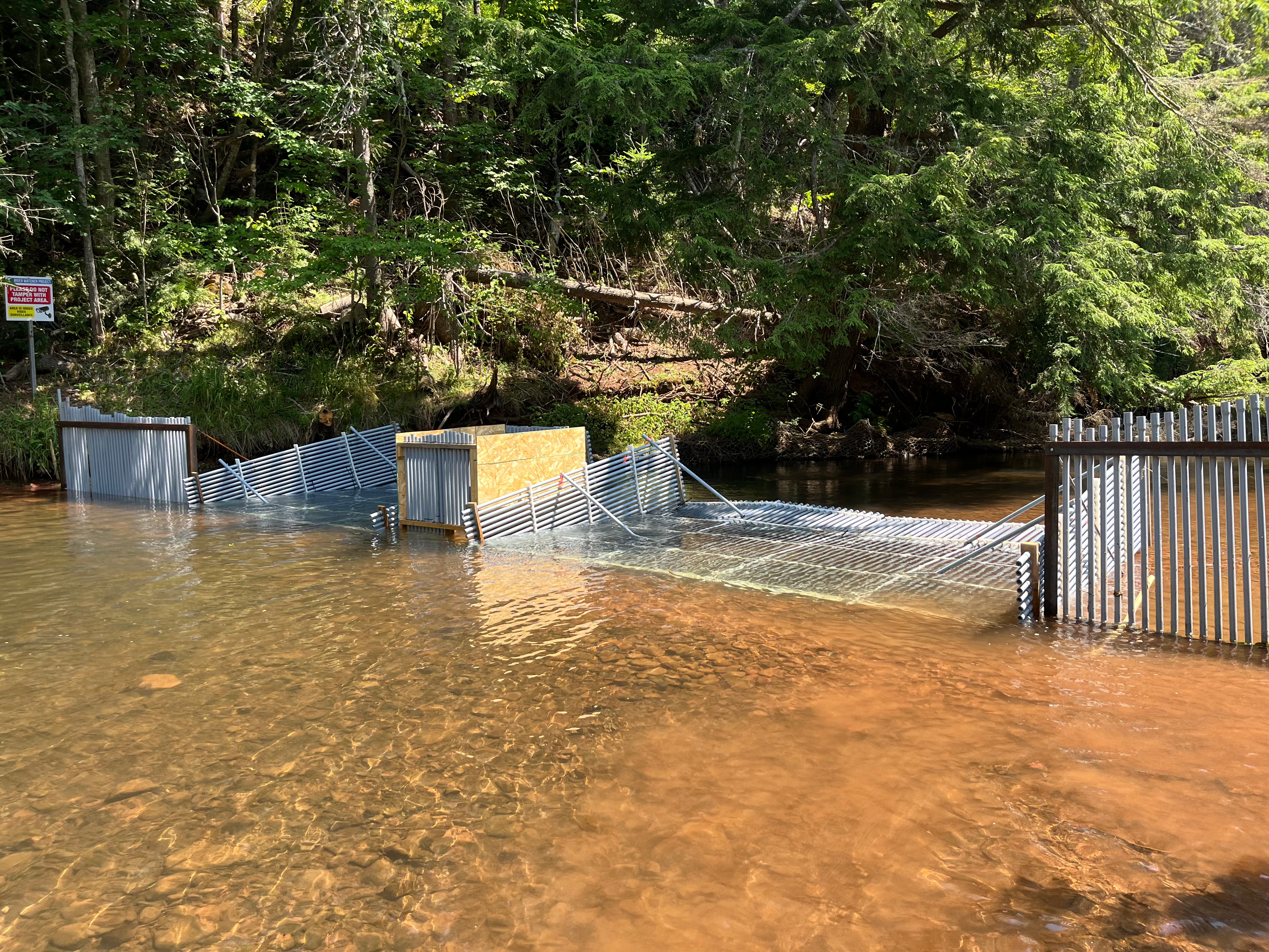 WEST RIVER RIVERWATCHER – Central Queens Branch of the PEI Wildlife ...