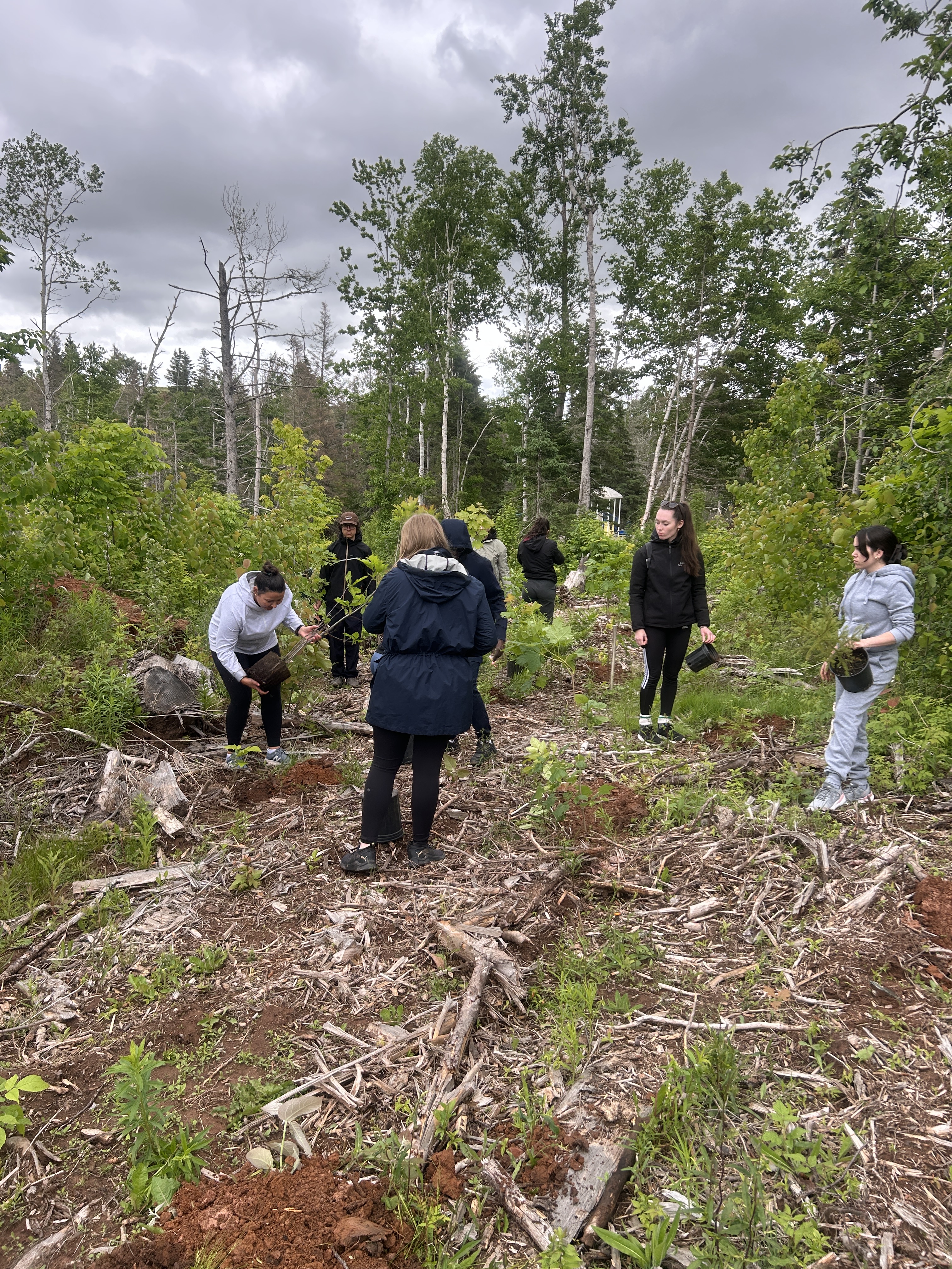 2025 Field Season Update – Central Queens Branch of the PEI Wildlife ...